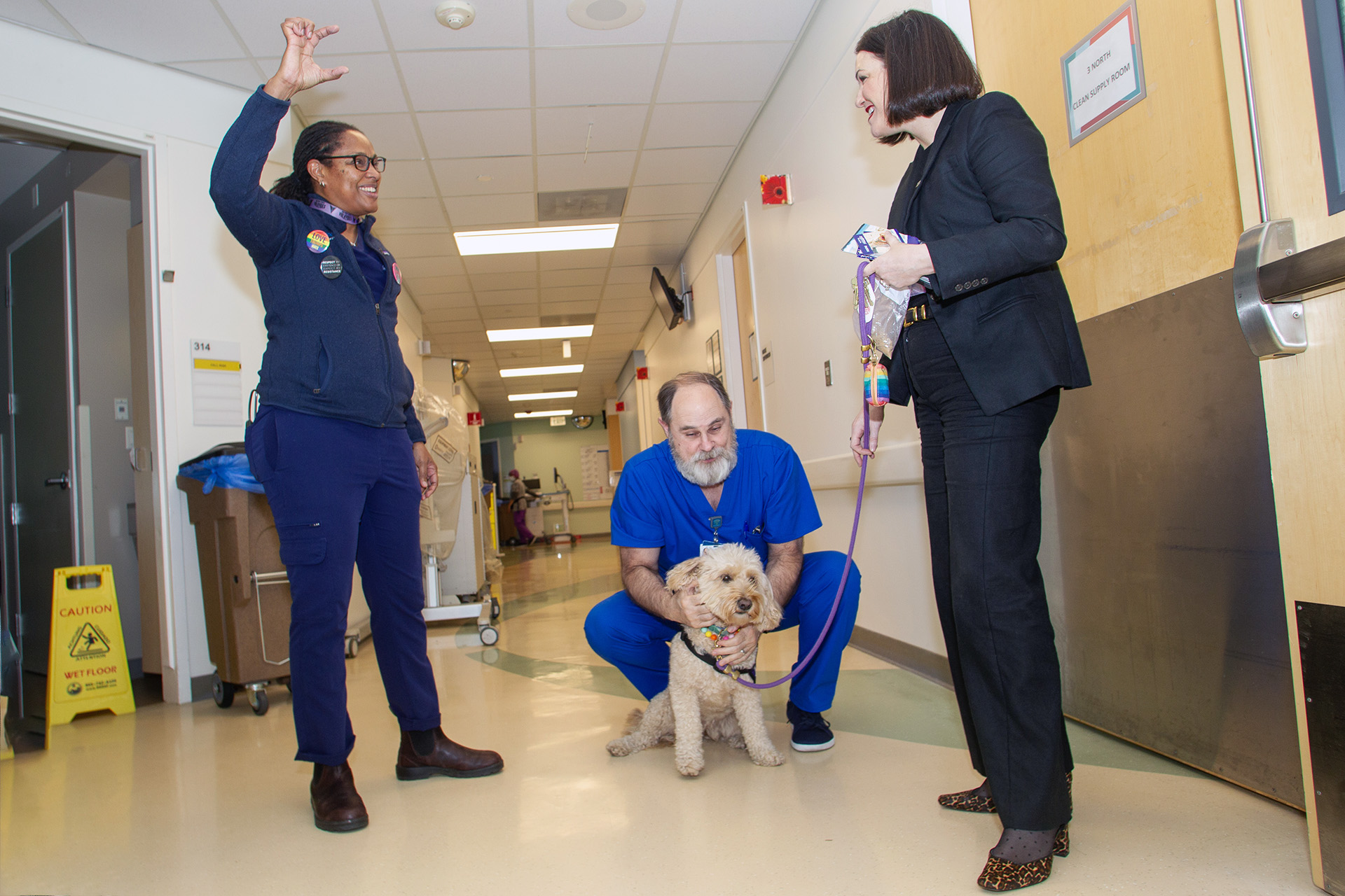 Hospital therapy dogs are ‘the star of the show’ - Kaiser Permanente ...